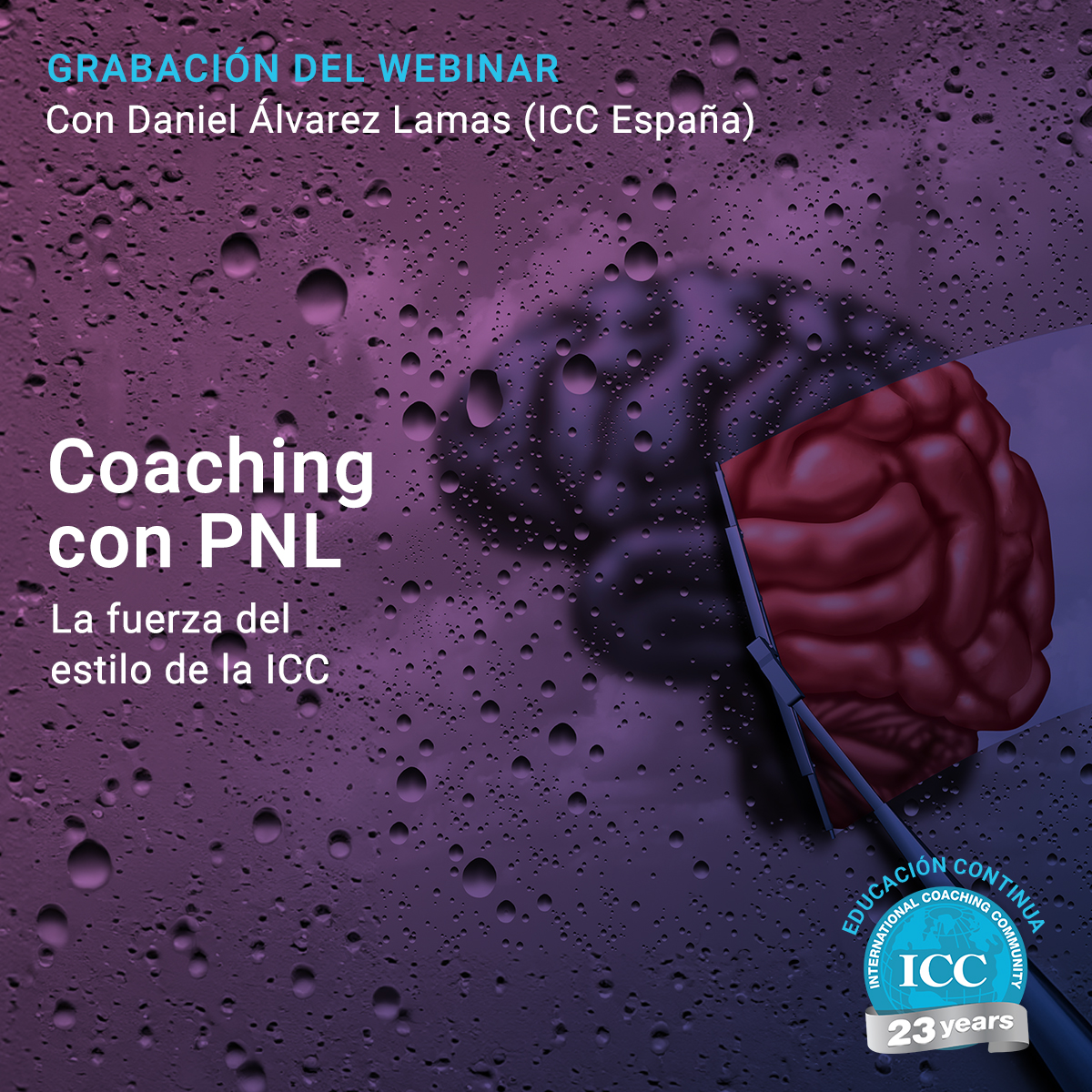 Gravação de Webinar: Coaching con PNL - La fuerza del estilo ICC ...